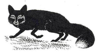 Fox Farm Company - Fox Vignette 1914 - Canada - Scripophily.com ...