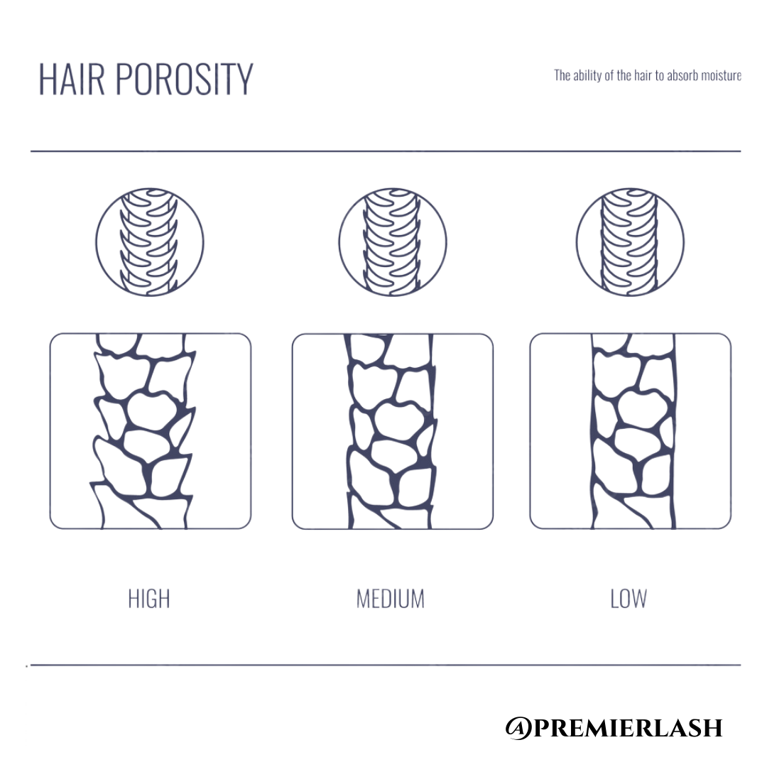 Pro Tip: Understanding The 3 Types of Lash Porosity - PREMIERLASH | PRO ...