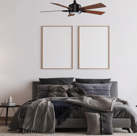 APPLETON 56 inch 5-Blade Smart Ceiling Fan with LED Light Kit & Remote ...