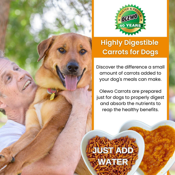 Olewo Original Carrots for Dogs – Fiber for Perfect Poop, Dog Food ...