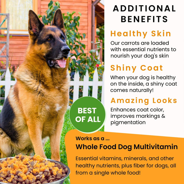 Olewo Original Carrots for Dogs – Fiber for Perfect Poop, Dog Food ...