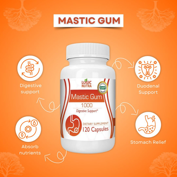 Logic Nutra Mastic Gum Capsules - Natural Gastrointestinal Support ...