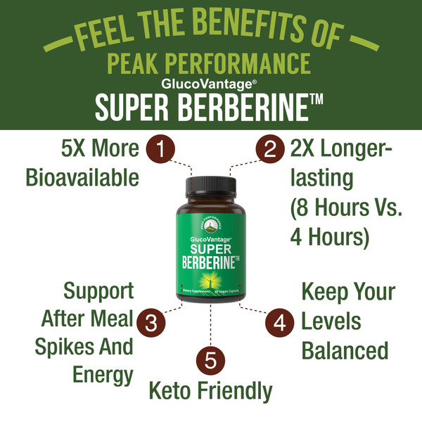 Dihydroberberine Super Berberine Supplement - GlucoVantage® 200mg Now ...