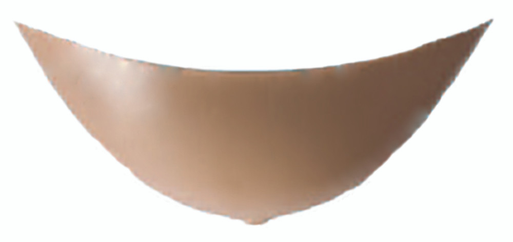 Nearly Me Mastectomy Breast Form Prosthesis with Nipple | Lightweight ...