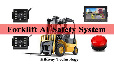 10 inch 4ch BSD AI System