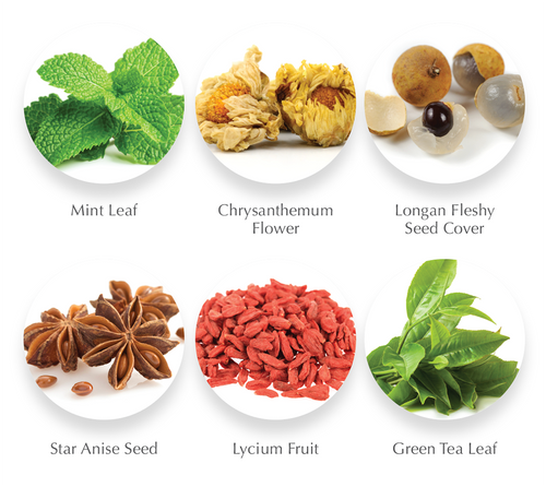 Five Elements of Health - The Wellness Living Store