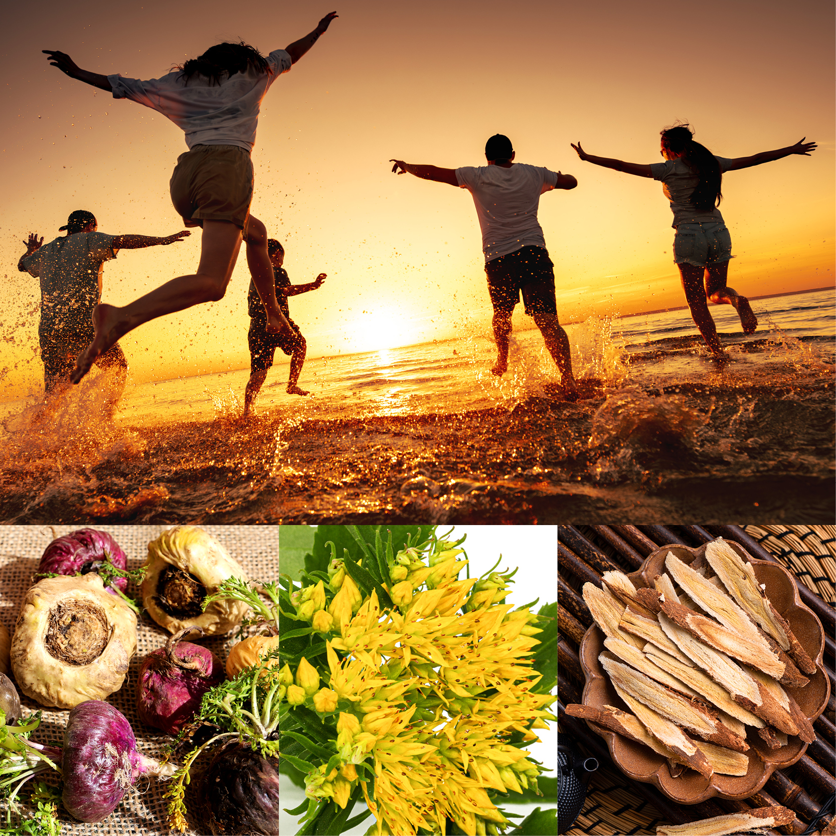 Increase Your Overall Well-Being with Energy Elixir - The Wellness ...