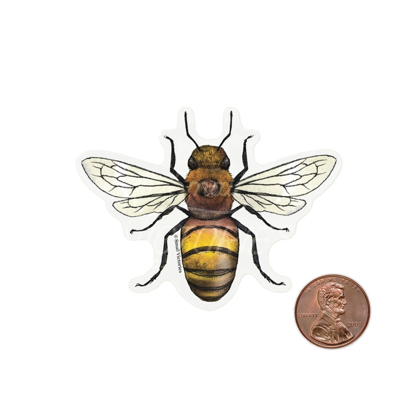 Honey Bee Sticker | SHSMO