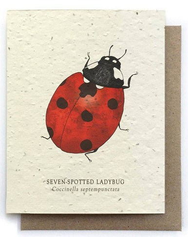 Ladybug Insect Greeting Card - Plantable Seed Paper | SHSMO