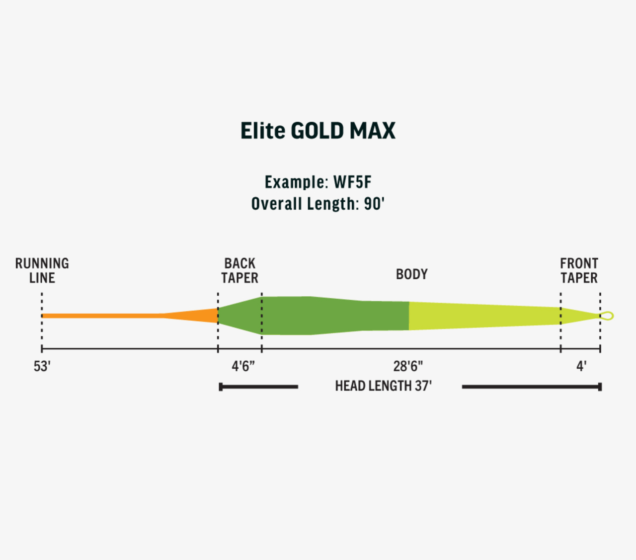 Rio Elite Gold MAX Trout Fly Line