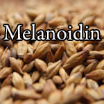 Melanoidin - BREWinternational
