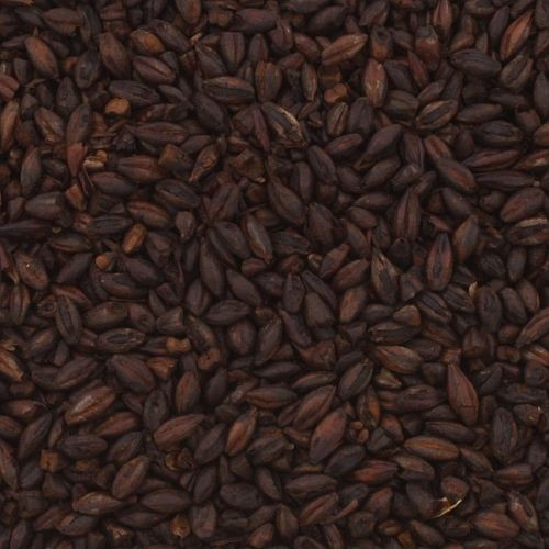 Black Malt - BREWinternational