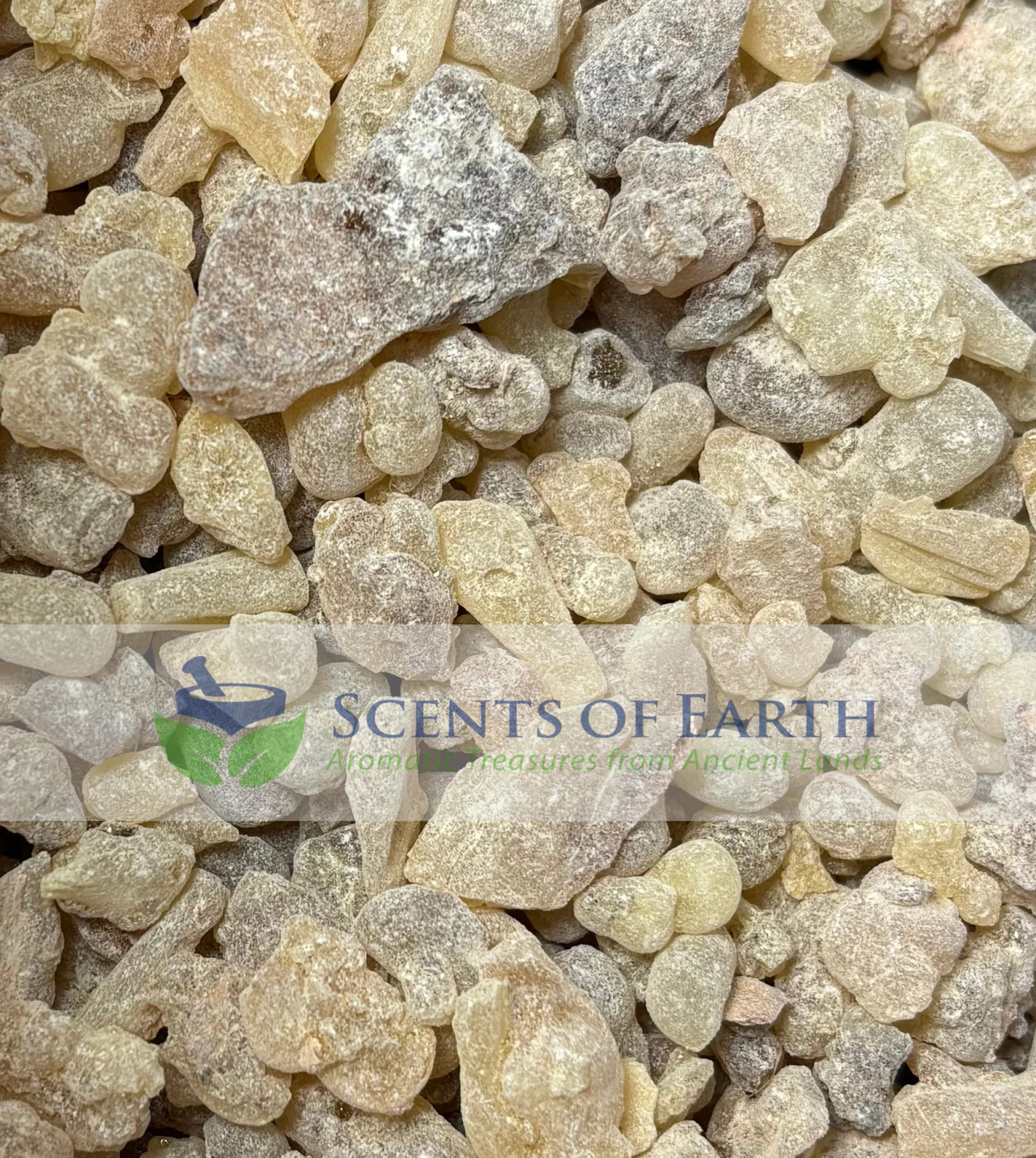Frankincense Information, Resins & Oils