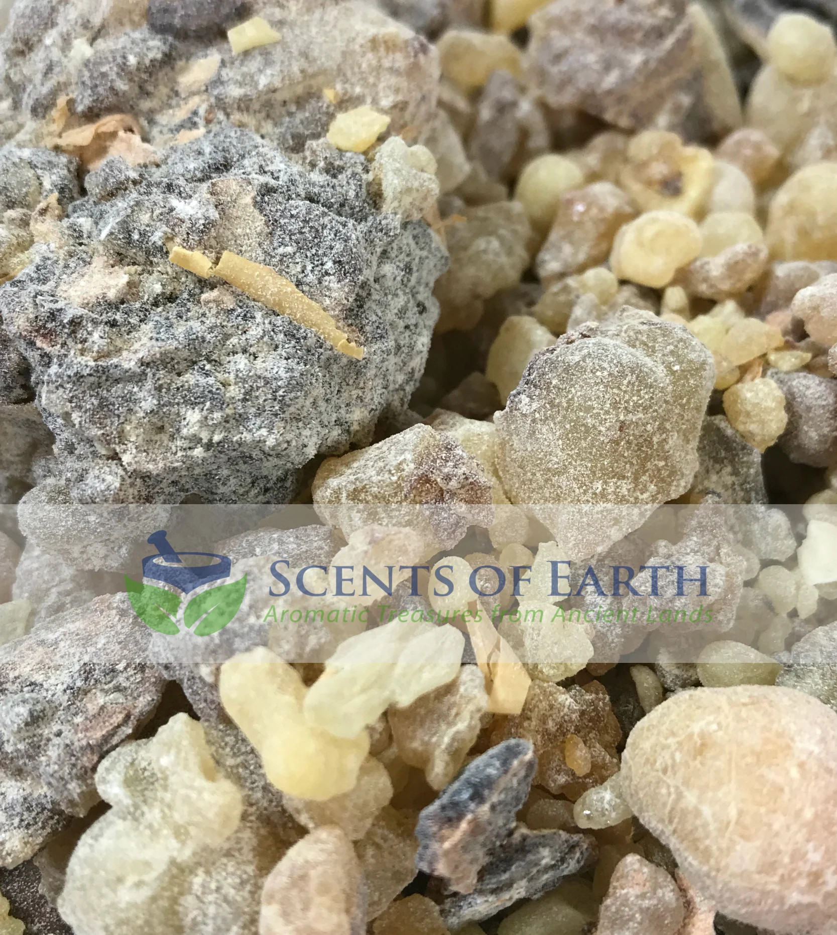Frankincense Information, Resins & Oils