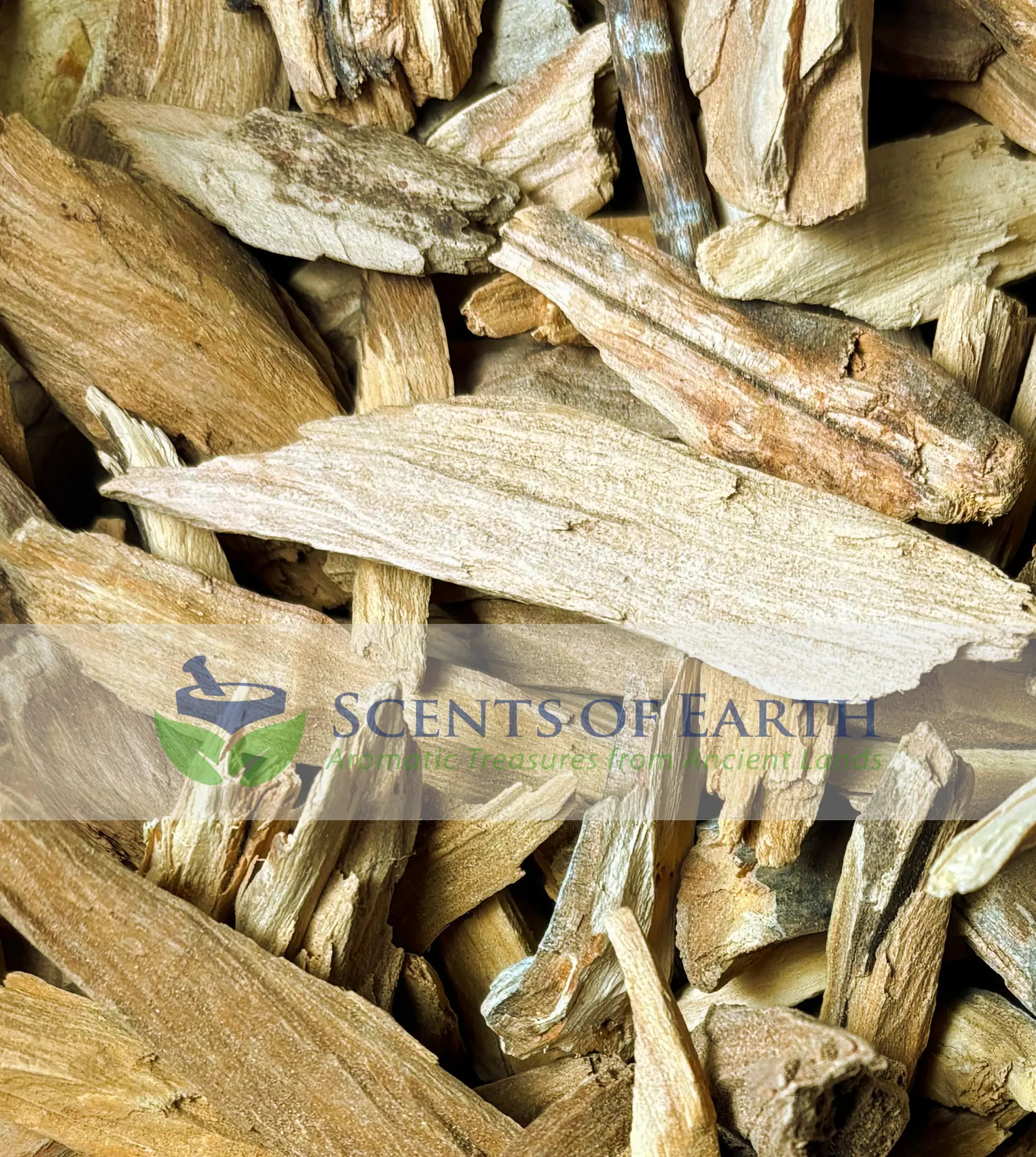 Sandalwood Information