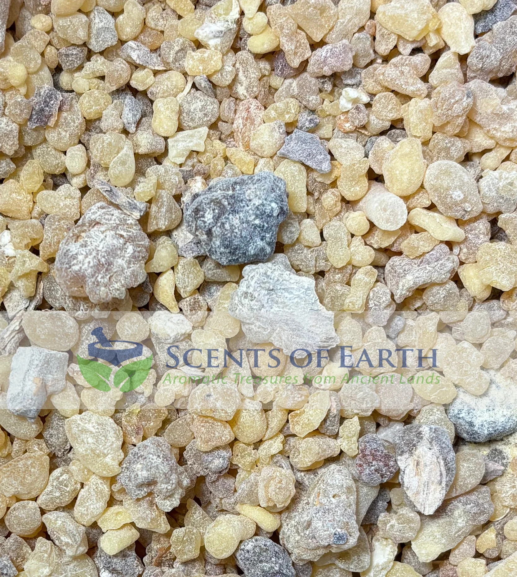 Frankincense Information, Resins & Oils