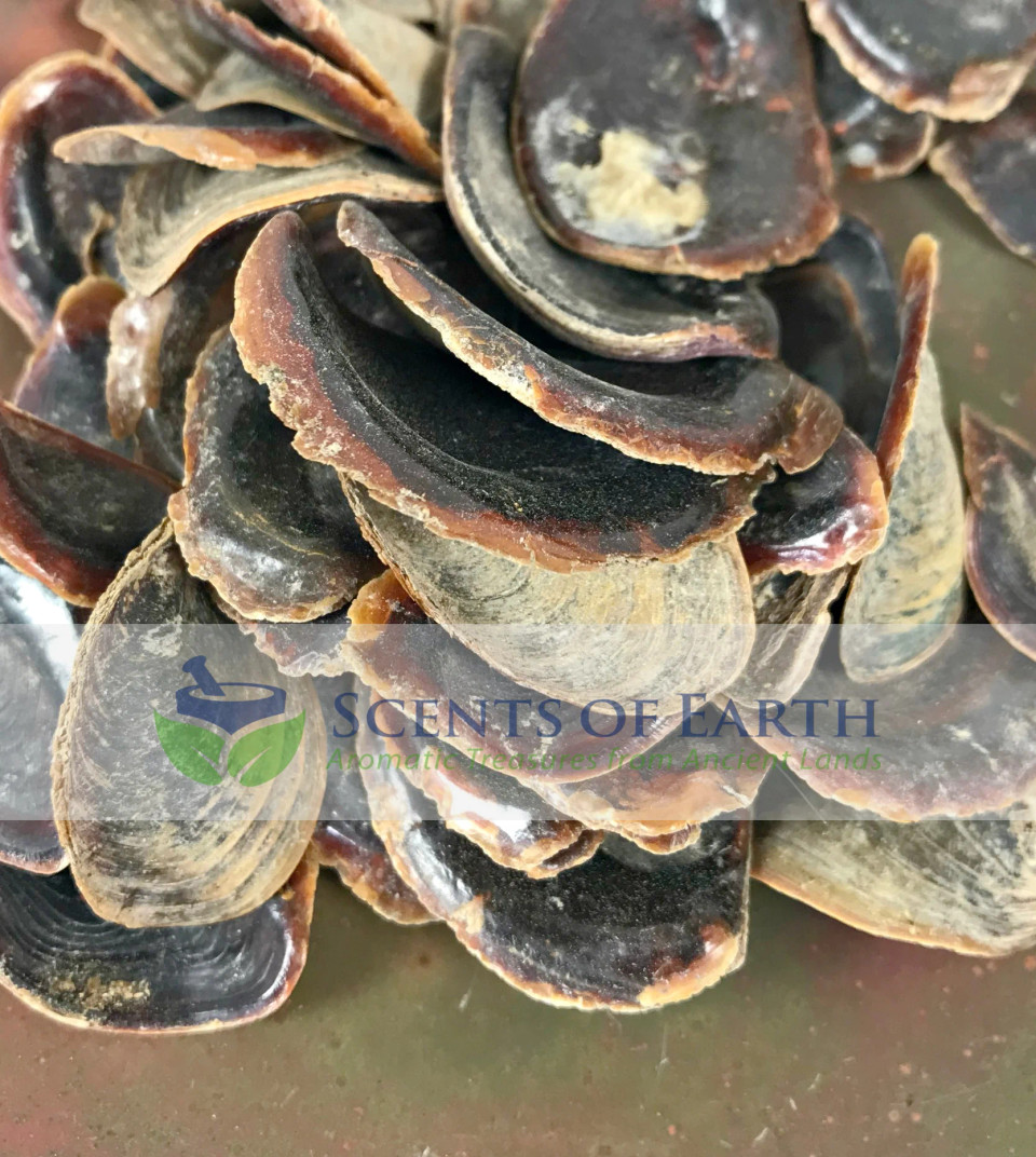 Onycha - Red Sea - Scents of Earth