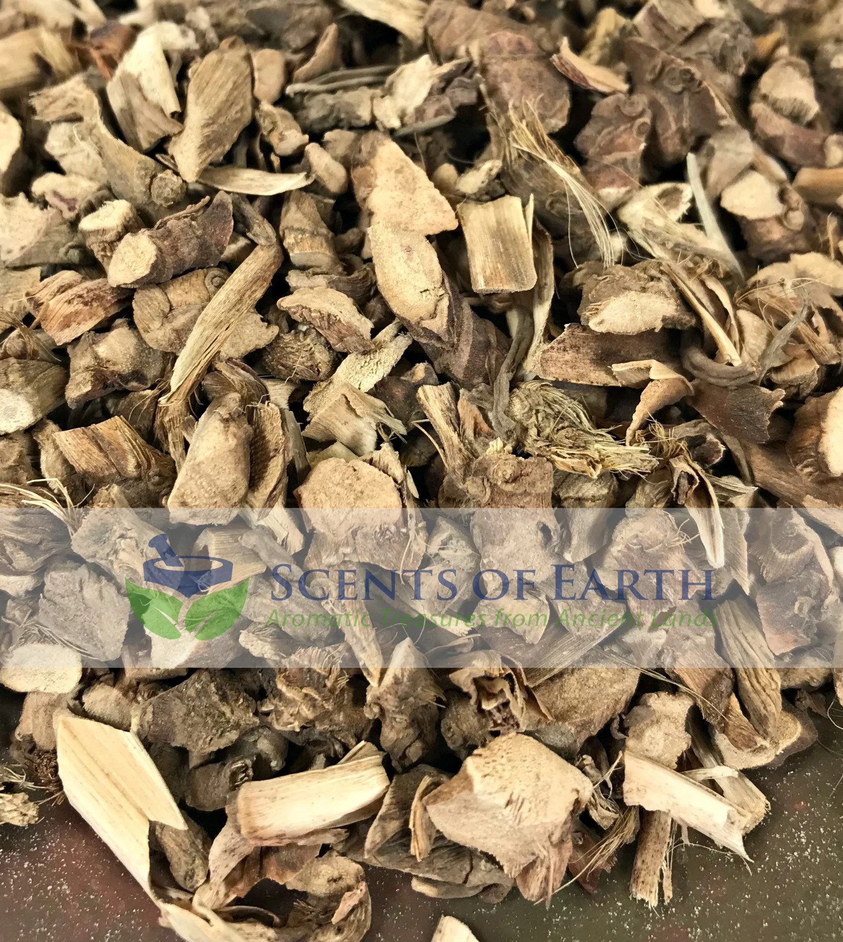 Calamus Root - cut - (Acorus calamus) - Russia