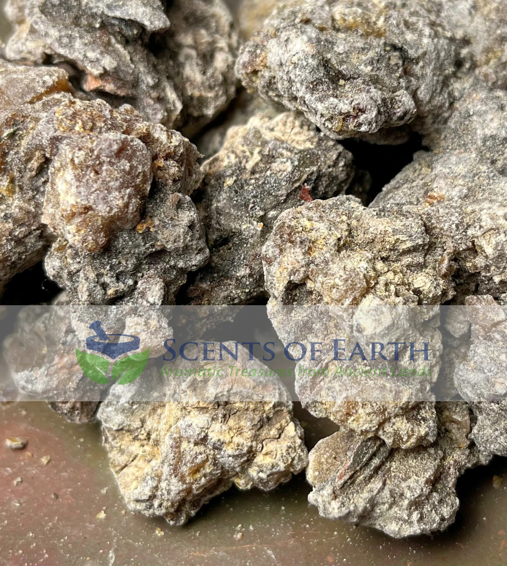 Cedar Resin (Pinus cembra sibirica) - Germany