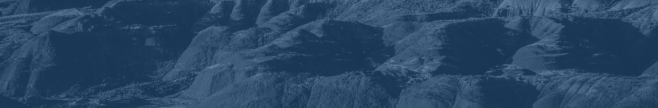 Arctic Tern Windows by Tern Overland