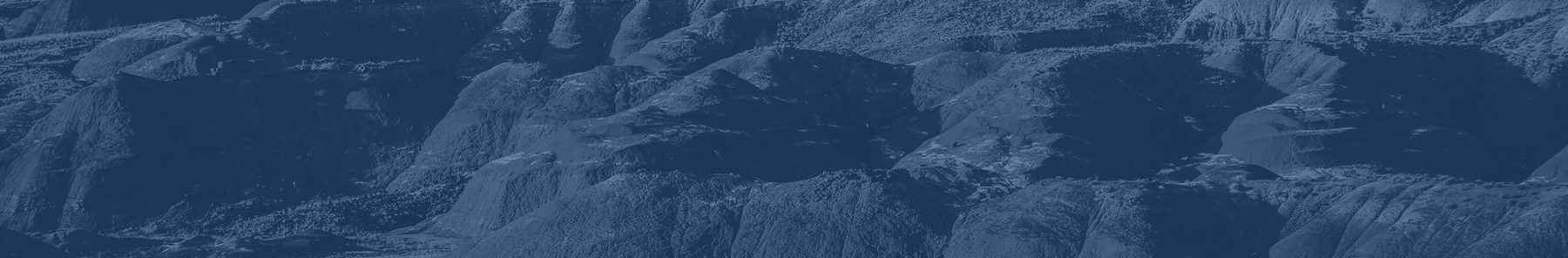 Arctic Tern Windows by Tern Overland