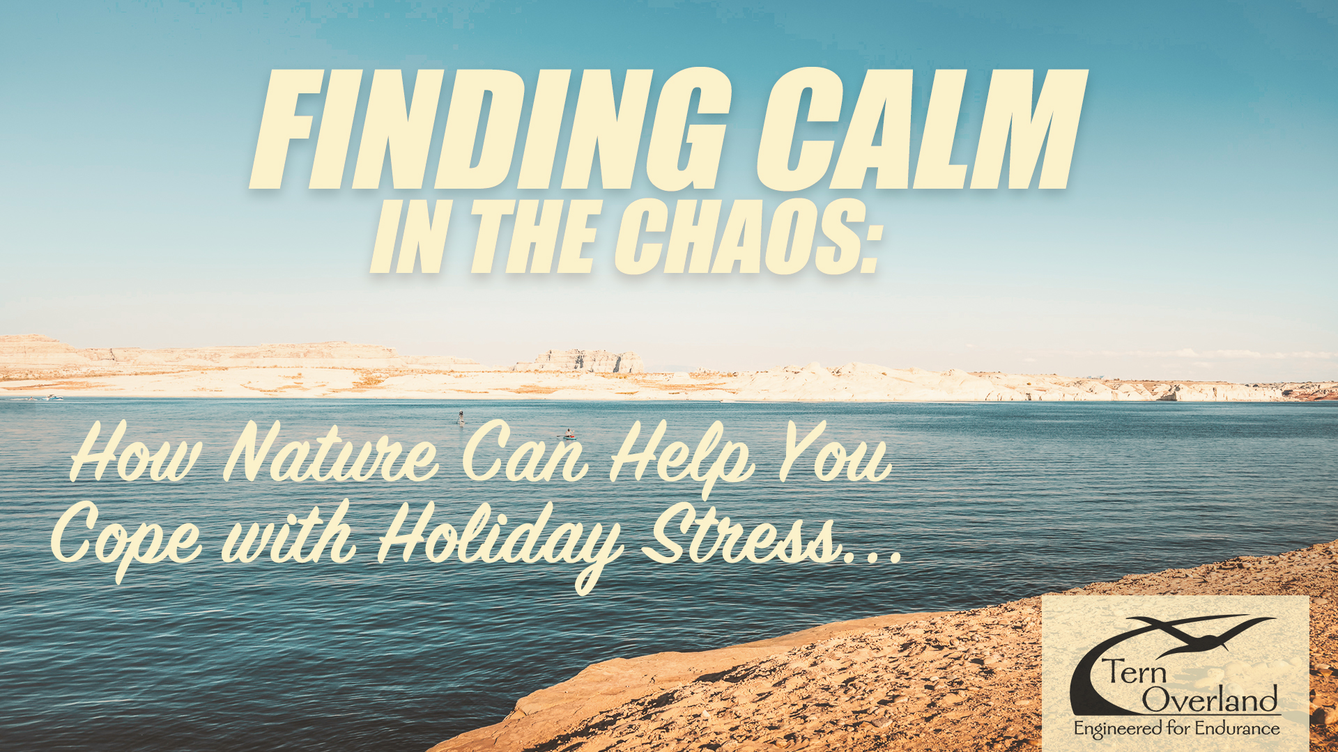 Finding Calm in the Chaos: How Nature Can Help You Cope with Holiday ...