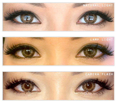 GEOLICA Euro Lady Light Brown Circle Lenses