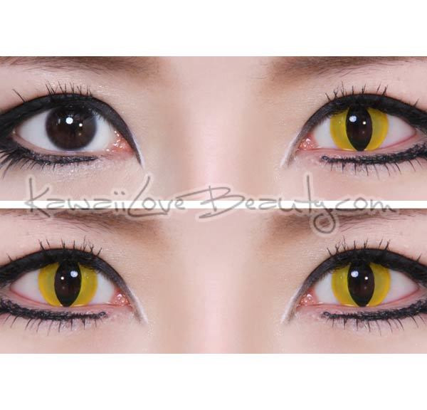 Crazy Yellow Cat Circle Lenses