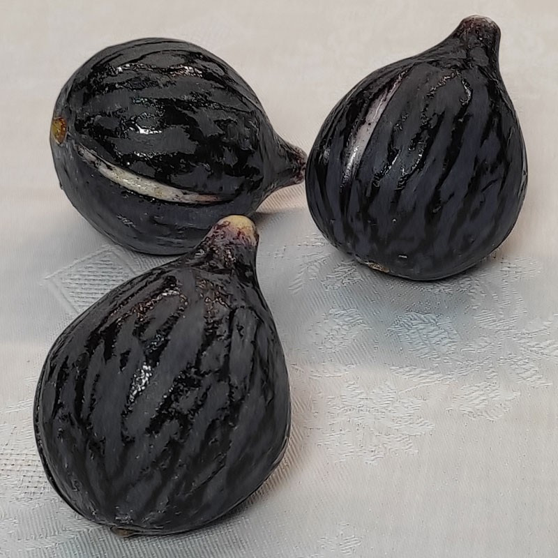 Italian Carrara Marble Fruit - Black Fig