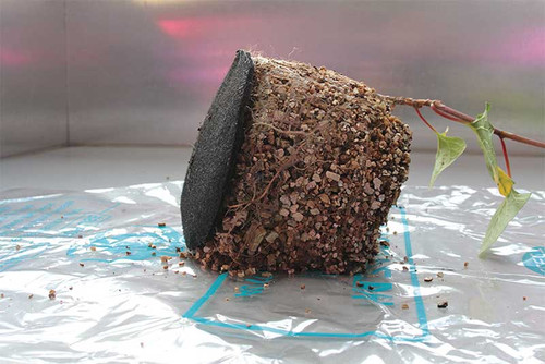 CuTex Copper Composite Root Barrier - Rhizome Barrier Supply