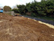 CuTex Copper Composite Root Barrier - Rhizome Barrier Supply