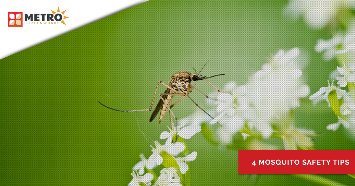 4 Mosquito Safety Tips - METRO SCREENWORKS