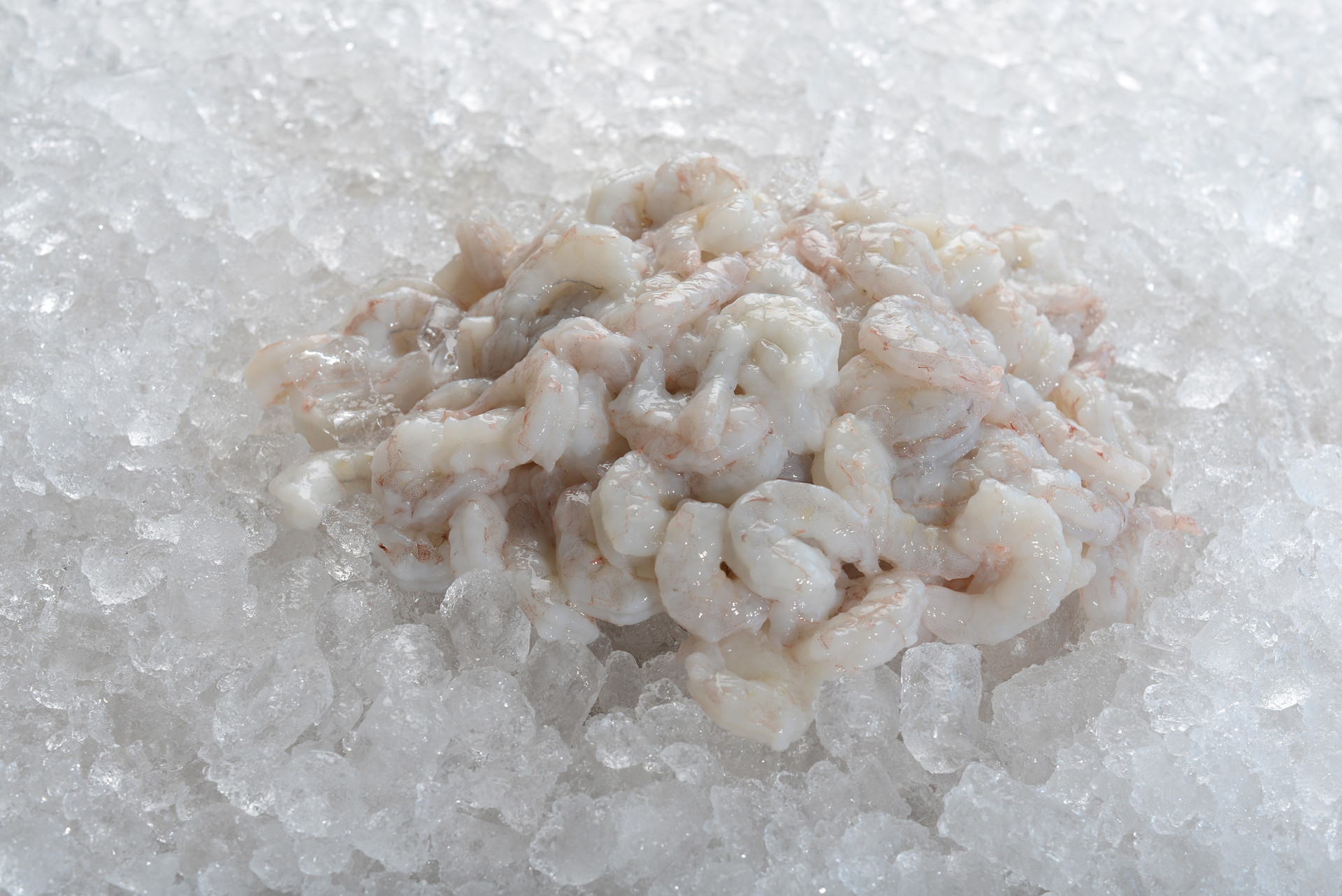 Order Extra Small Peeled & Deveined Tail-Off Shrimp – Biloxi Shrimp Co.