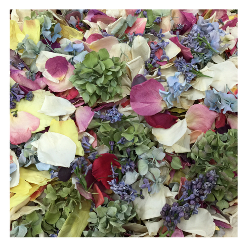 Assorted Flower Petals -Rose, hydrangea, peony and lilac petals