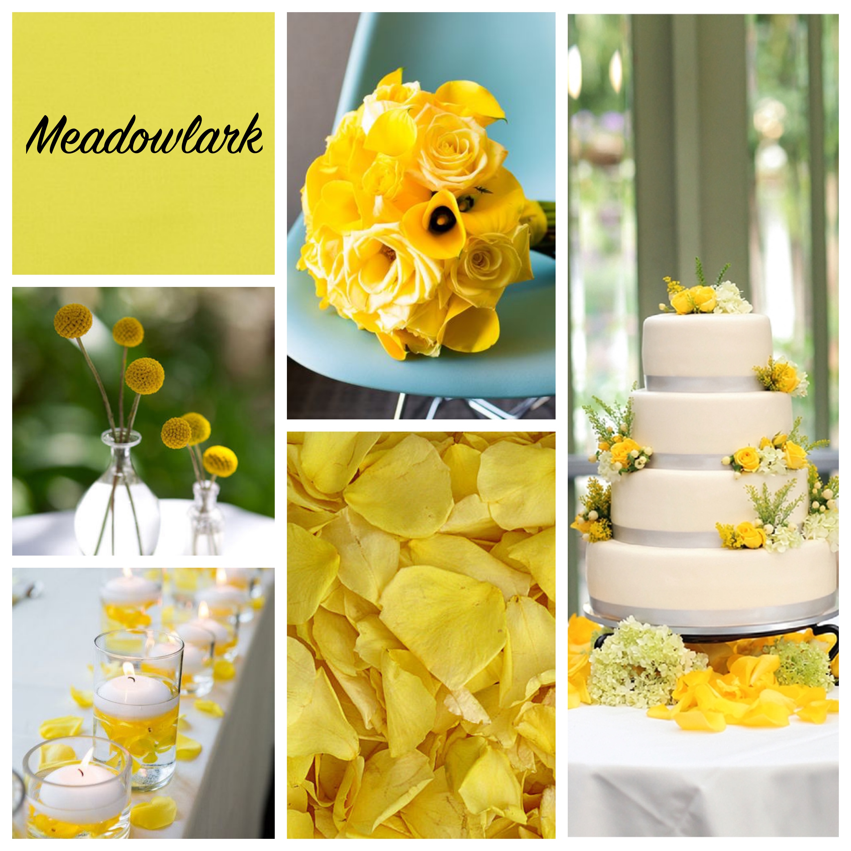 Pantone Spring/Summer Color Palette 2018 - Flyboy Naturals, Inc