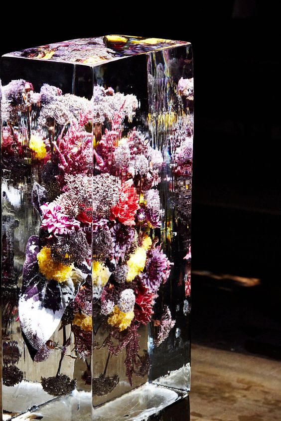 Frozen Flowers and DIY Frozen Flower Bowls - Flyboy Naturals, Inc