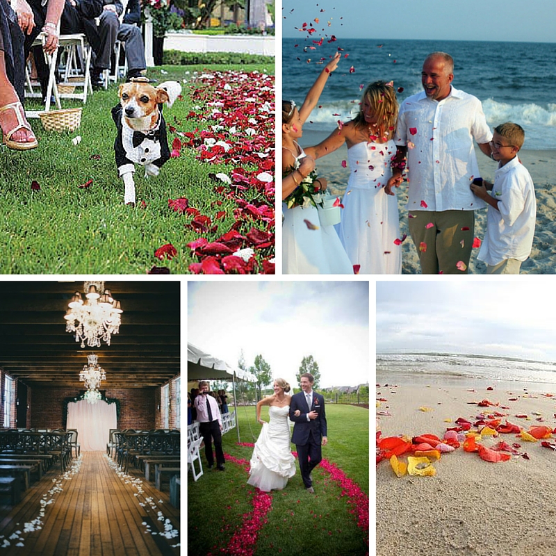 10 Tips for the Perfect Wedding Petal Toss | Flyboy Naturals - Flyboy ...