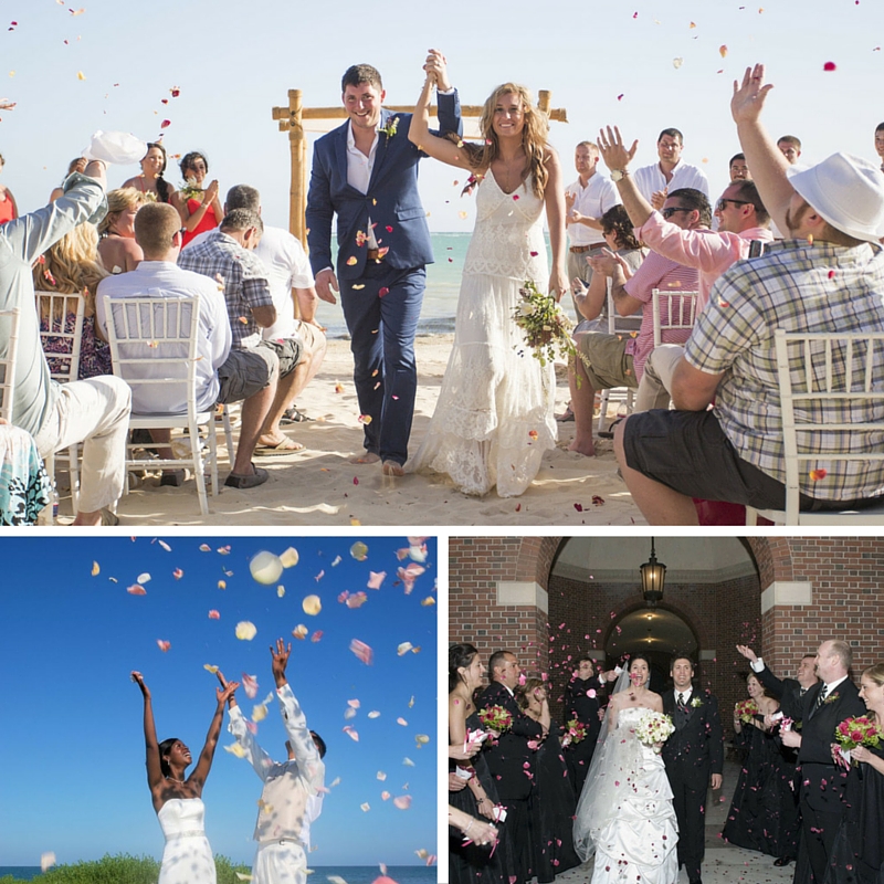 10 Tips for the Perfect Wedding Petal Toss | Flyboy Naturals - Flyboy ...