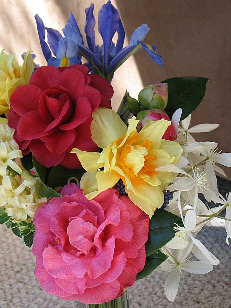 Tips for extending fresh cut flower vase life - Flyboy Naturals, Inc