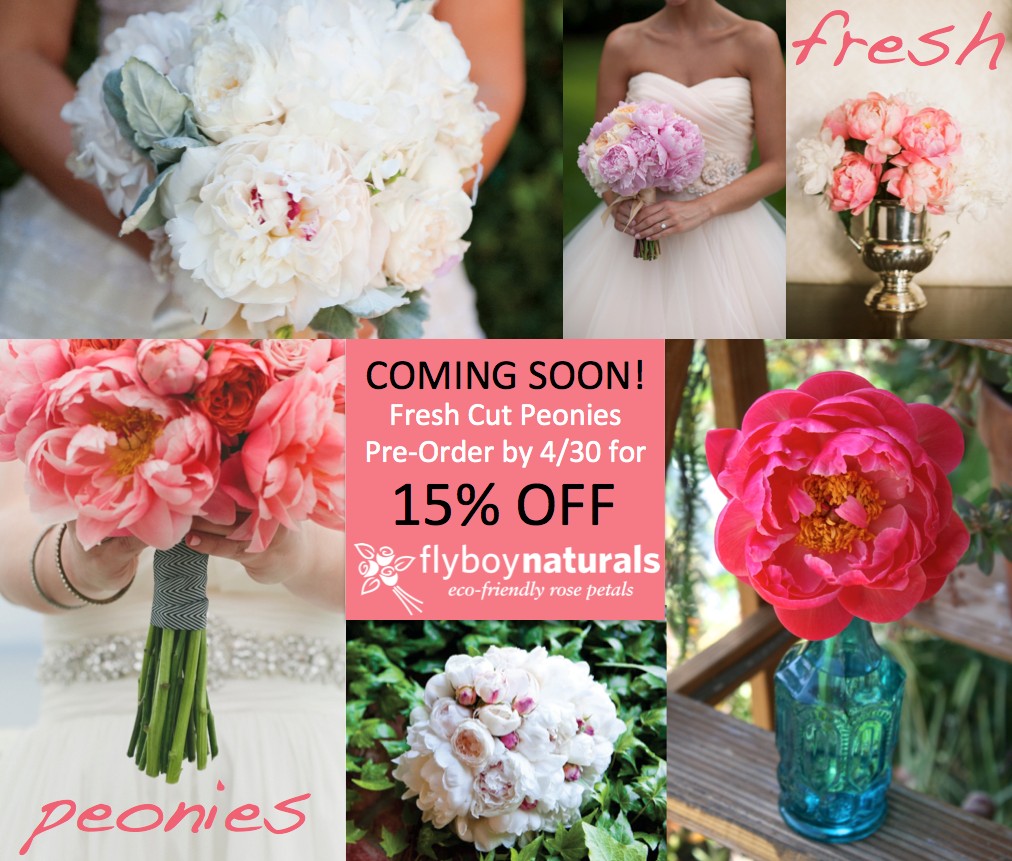 Fresh Cut Peonies Pre-order Special - Flyboy Naturals, Inc