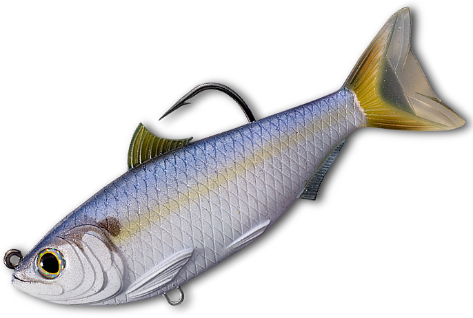 Threadfin Shad