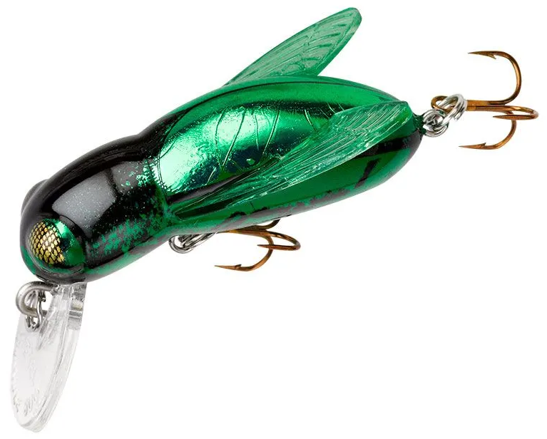 Rebel Bumble Bug: June Bug