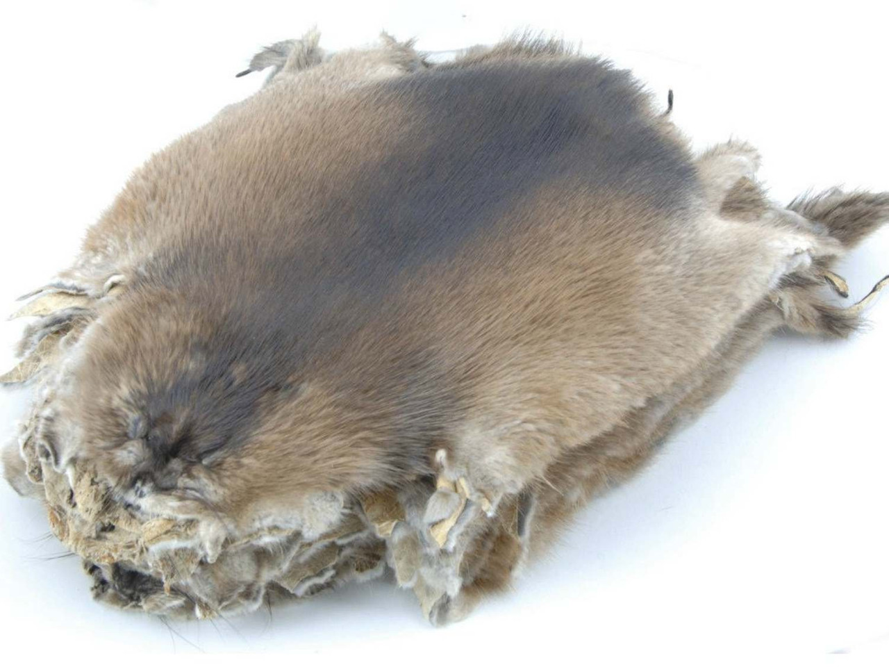 Veniard Muskrat Whole Skin, Perfect for Dry Flies