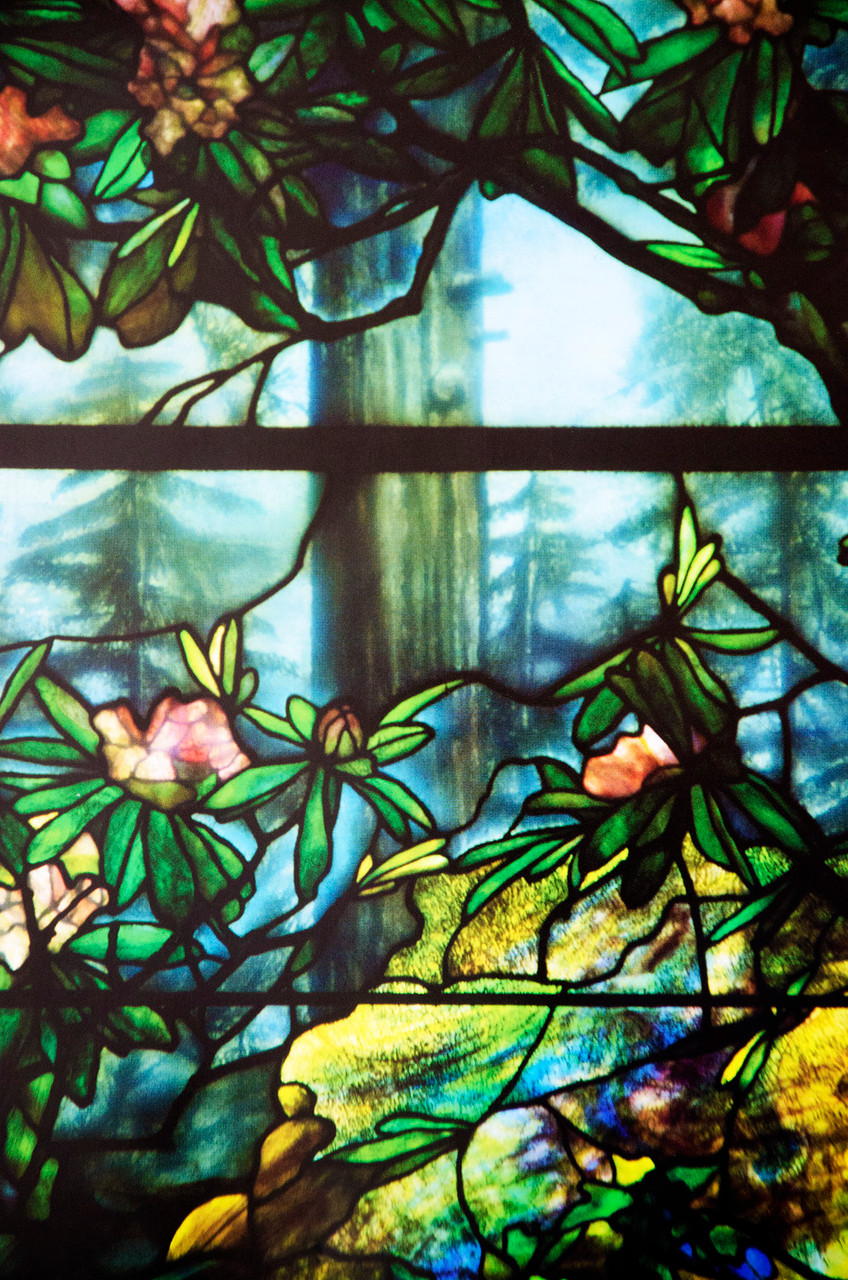 Poster - Rhododendron