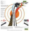 Primos Targets Turkey - 12/ct - Tactical Surplus USA