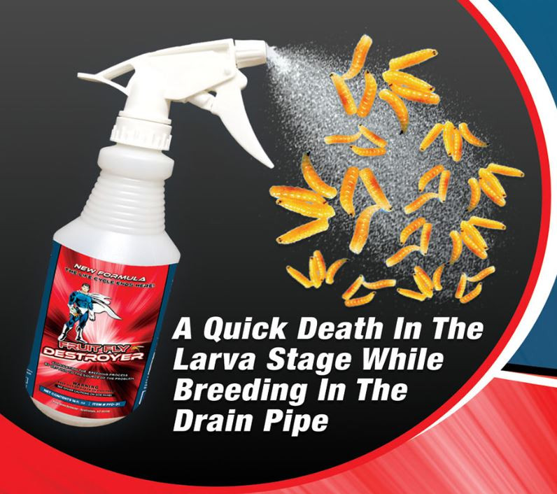 Fruit Fly Destroyer Spray for Commercial Drains