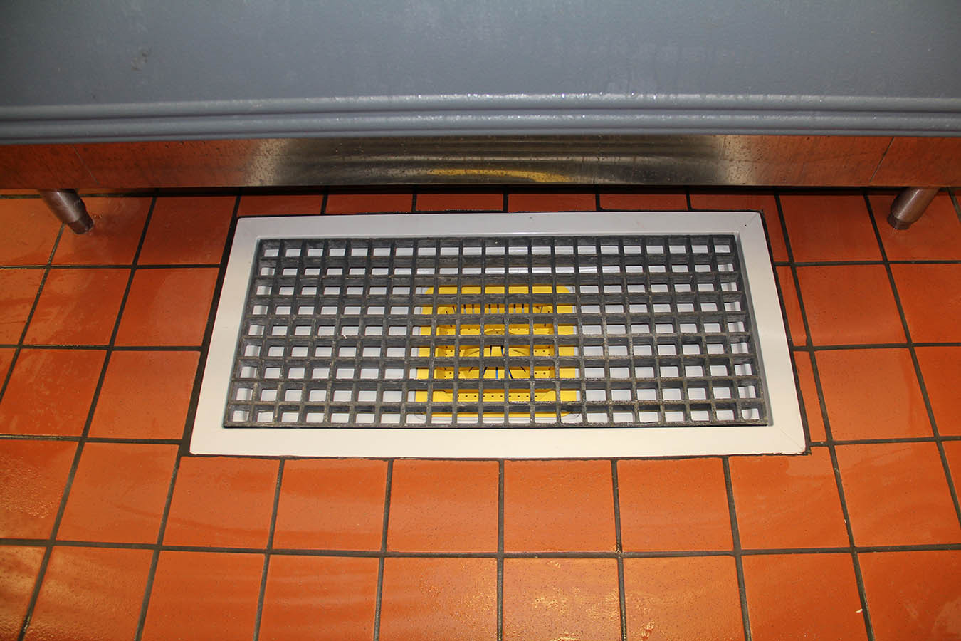 Trough Drain for commercial kitchens and food processing plants