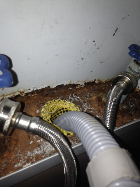 Washing Machine Lint Trap Super Filter for drainage hoses and stand ...