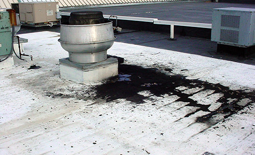 Greasy Rooftop Protection - Drain-Net Technologies