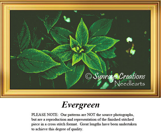 Flower Cross Stitch Pattern | Evergreen